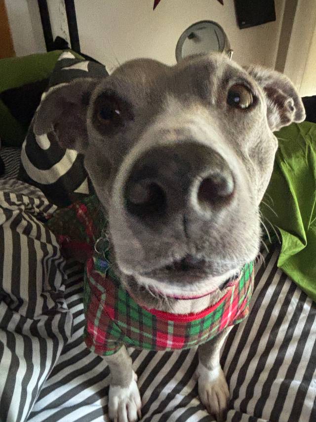 Vicky Lawton · Activity · District