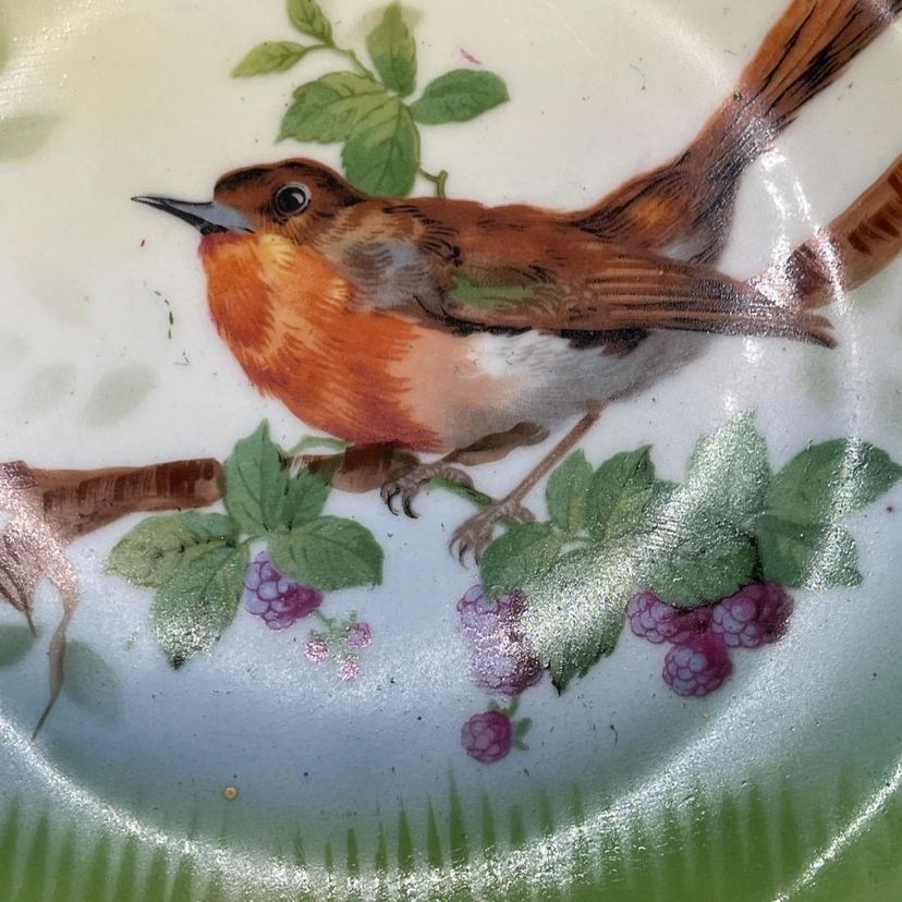 Vintage Porcelain Hand Painted Bird Bowl - Prov Saxe ES Germany