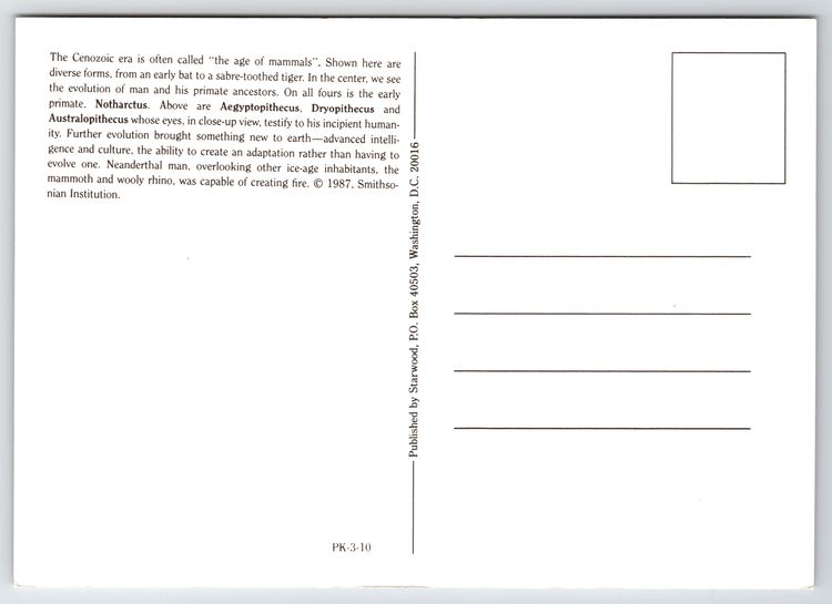 Postcard Cenozoic Era: Human Evolution Smithsonian Institution ...