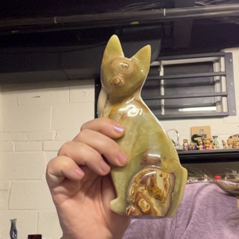 Alabaster Cyclops Cat