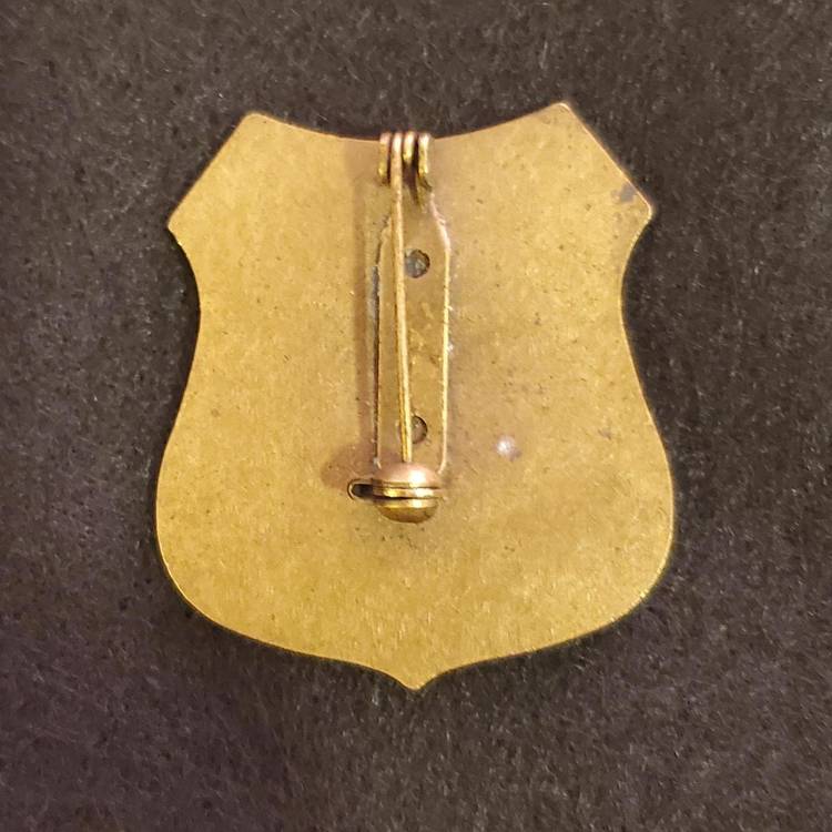 Vintage Forest Service Badge