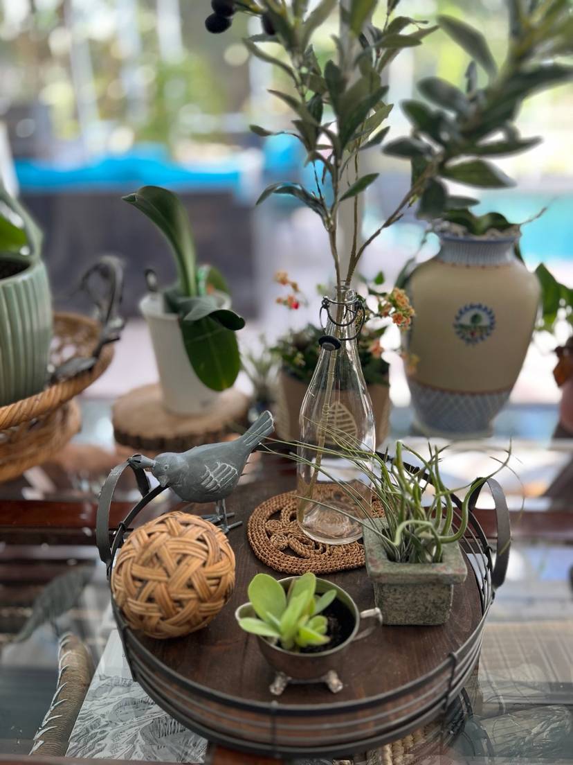 Rustic Vignette- Just Add Plants!