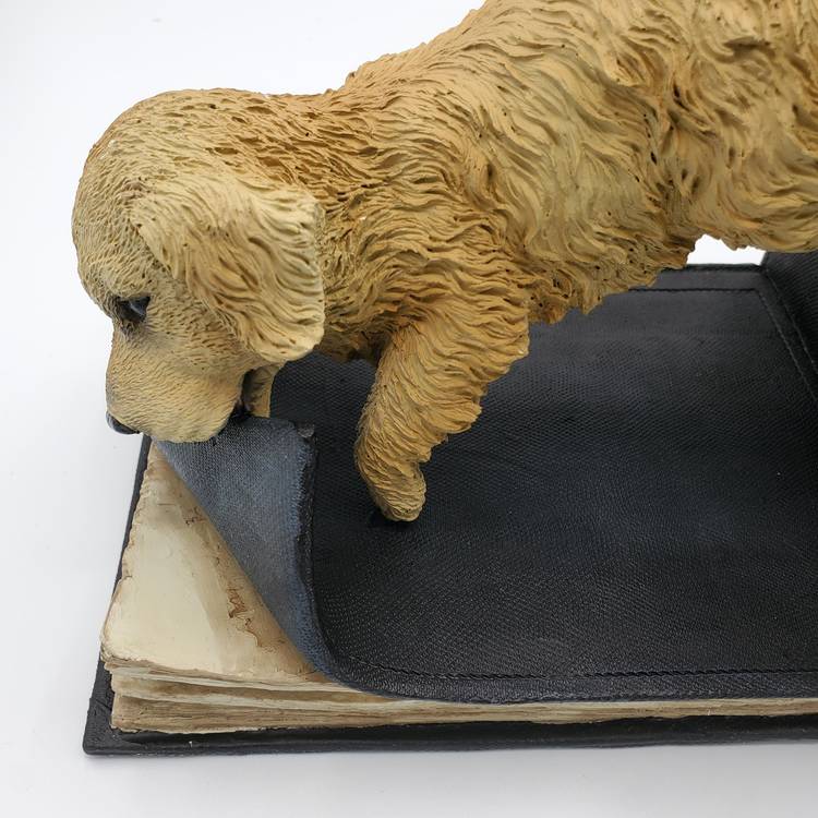 Barnes and Noble Golden Retriever Puppy Chewing On A Black Book Single ...