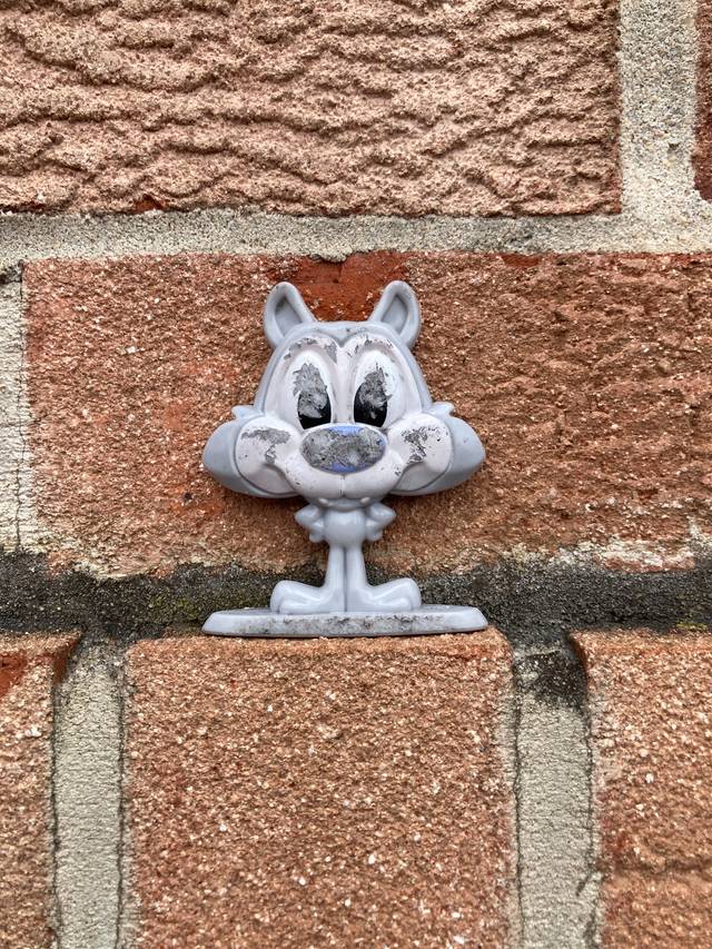 Sherry Gilbert · Activity · District