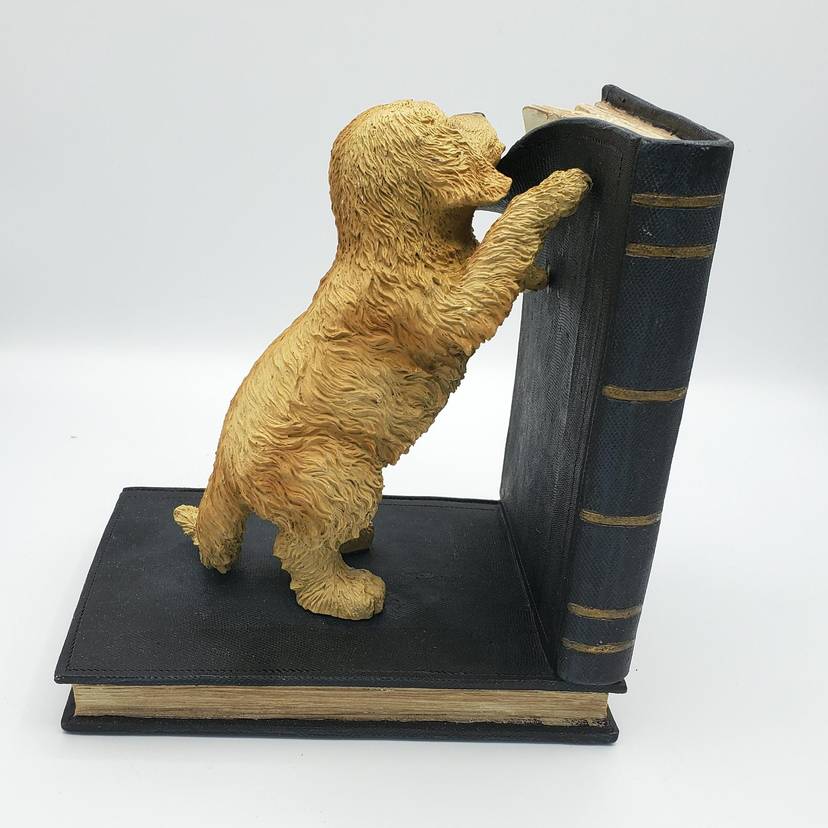 Barnes and Noble Golden Retriever Puppy Chewing On A Black Book Single ...