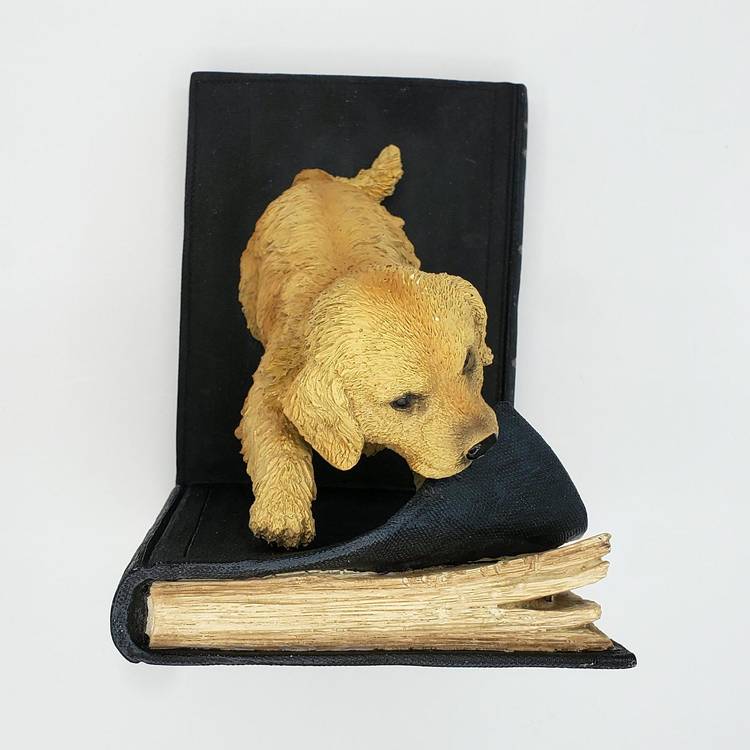Barnes and Noble Golden Retriever Puppy Chewing On A Black Book Single ...