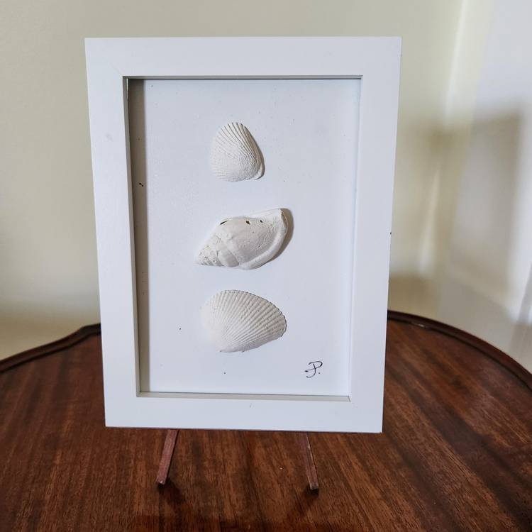 Plaster Of Paris Cast Of 3 Shells On Masonite Board, 3-dimensional, 5x7 ...
