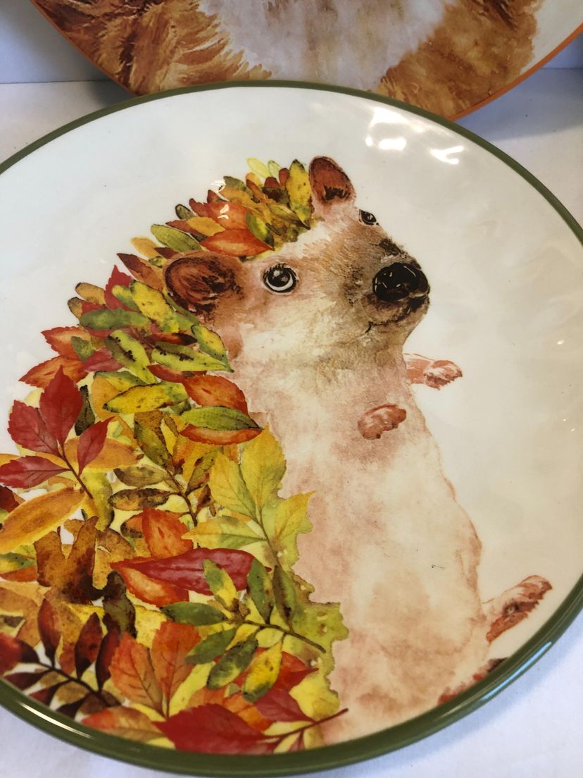 4 Pier 1 Harvest Garden Critters 8.25" Dolomite Salad Plates Owl Fox ...