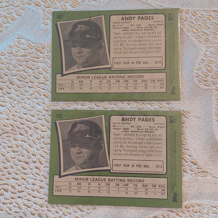 Andy Pages Prospect Card. Ogden Raptors.