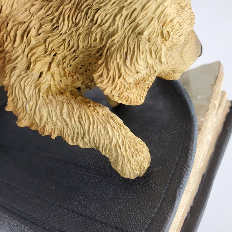 Barnes and Noble Golden Retriever Puppy Chewing On A Black Book Single ...