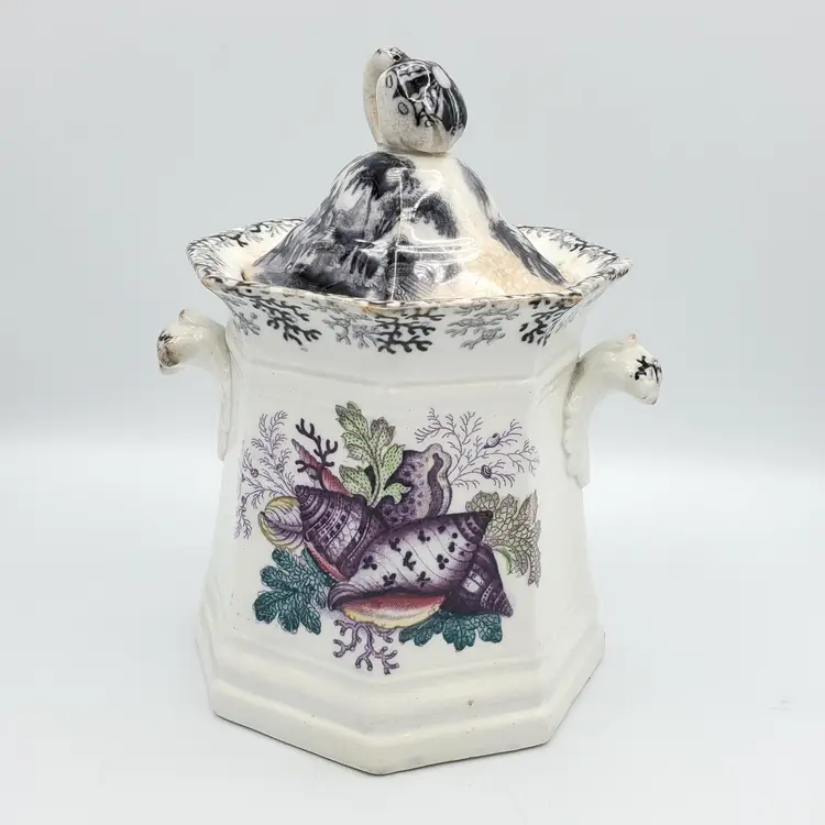 Antique Ceramic Lidded Canister with Seashell Design, Furnival Coral ...