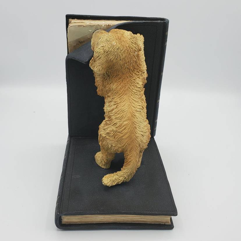 Barnes and Noble Golden Retriever Puppy Chewing On A Black Book Single ...