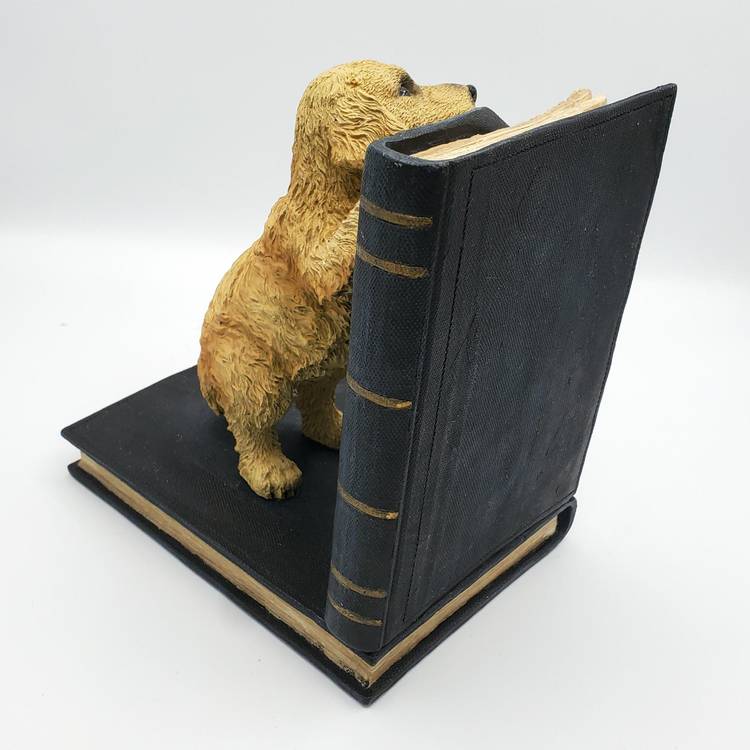 Barnes and Noble Golden Retriever Puppy Chewing On A Black Book Single ...