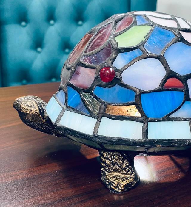 Elgee’s Painted Turtle (Jenny) · District