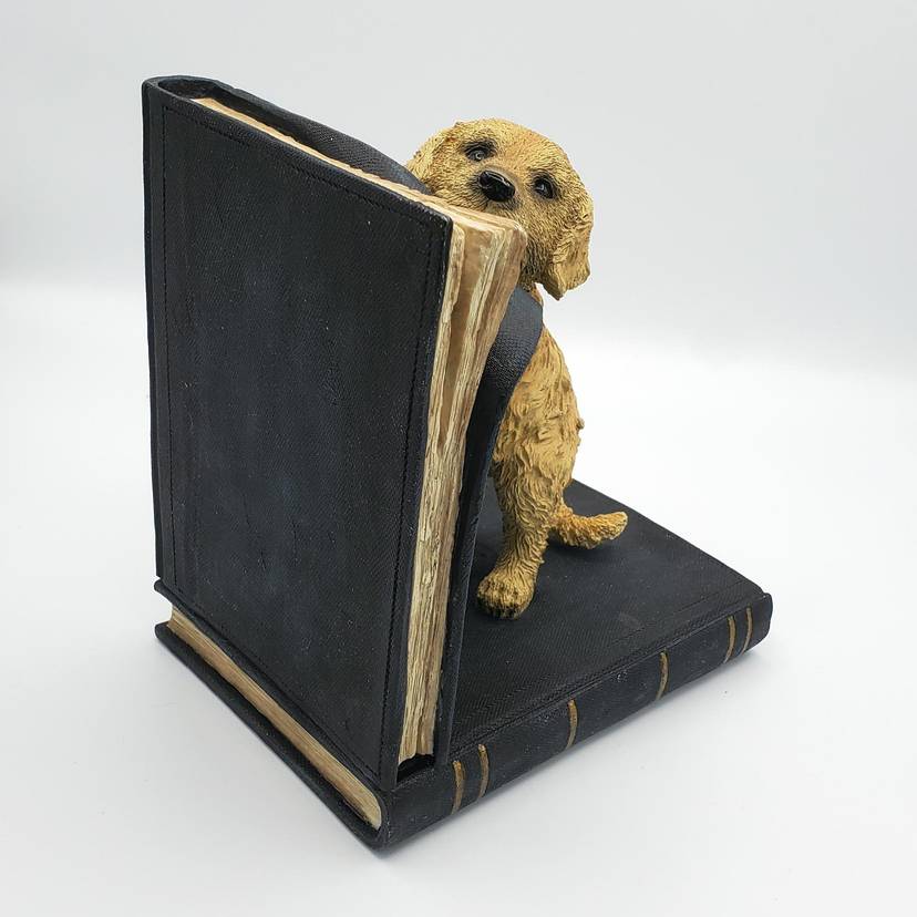 Barnes and Noble Golden Retriever Puppy Chewing On A Black Book Single ...