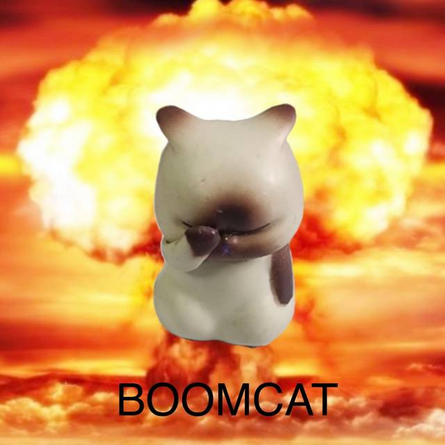 BOOMCAT · District