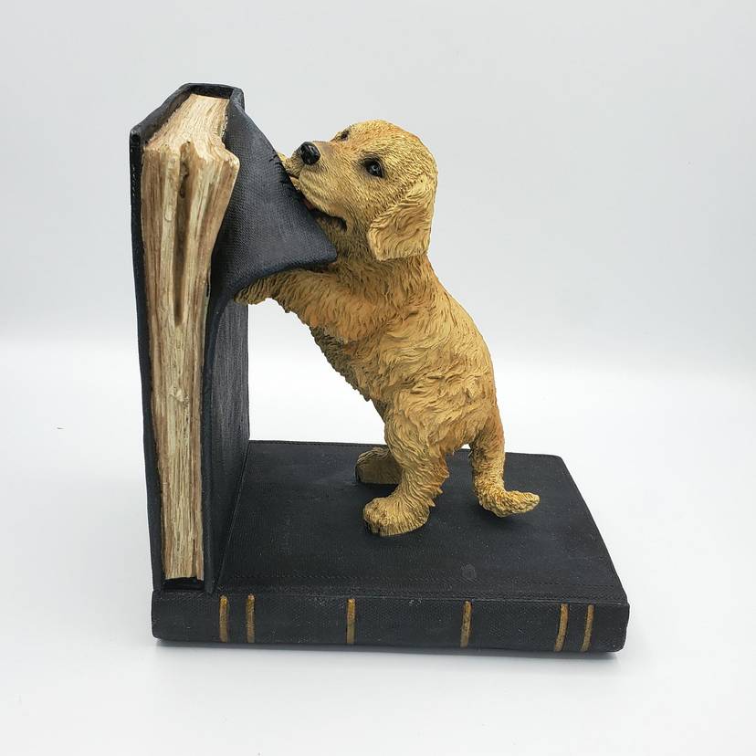 Barnes and Noble Golden Retriever Puppy Chewing On A Black Book Single ...
